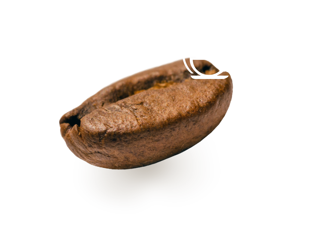 SINTERCAFE – Connecting the Coffee World